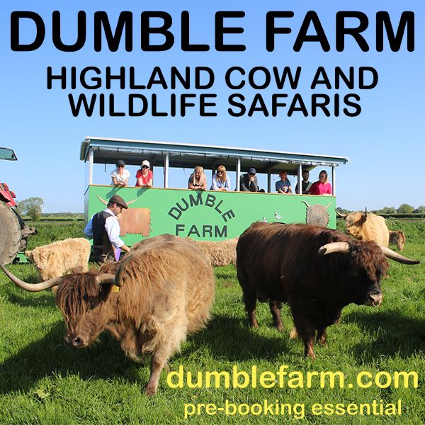 dumble farm